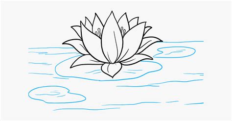 Clip Art Lotus Flower Sketch Water Lily Drawing Easy Free