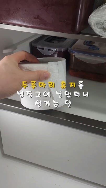 휴지를 냉장고에 넣으면 생기는 일 살림 살림꿀팁 꿀팁 두루마리 휴지 냉장고 탈취제 Youtube