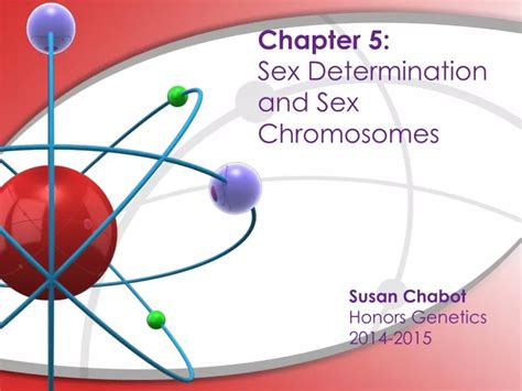 Ppt Chapter 5 Sex Determination And Sex Chromosomes Powerpoint