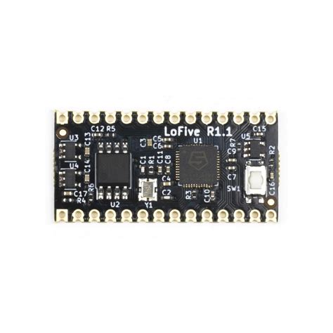 Lofive R1 Getlab Development Boards Evelta