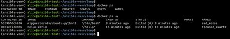 How To Test Ansible Roles With Molecule And Docker