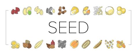 Premium Vector Seed Plant Agriculture Culture Icons Set Vector