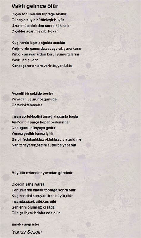 Vakti gelince ölür Şiiri Yunus Sezgin