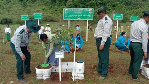 မိုင်းရှူးမြို့နယ်တွင် ၂၀၂၂ခုနှစ်၊ အပြည်ပြည်ဆိုင်ရာ ရာသီဥတုပြောင