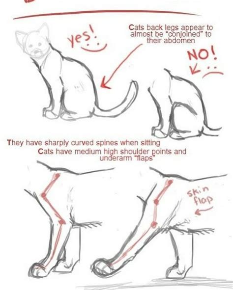 Pin de Skyniiverse em Drawing animals Desenhos de gatos Desenho de inspiração Esboços de animais