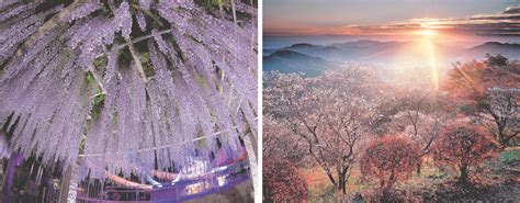 藤岡市2016年度特集ページ ぐんま愛 ― 地域の力 応援キャンペーン