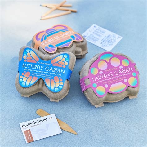 Modern Sprout Curious Critter Ladybug Garden Kit