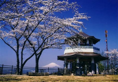 弘法山公園こうぼうやまこうえん 秦野市役所