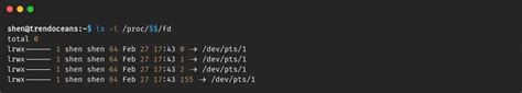 how to list all open file descriptors trend oceans
