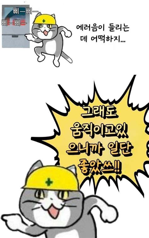 일본 중소기업 고양이 만화 Nba Mania