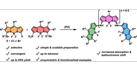 Linear Amine Linked Oligo Bodipys Convergent Access Via Buchwaldhartwig Coupling Organic Letters