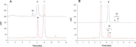 Hplc Analyses Of Reaction Mixtures Obtained From Incubation Of Download Scientific Diagram