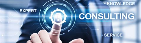 Consulting Services