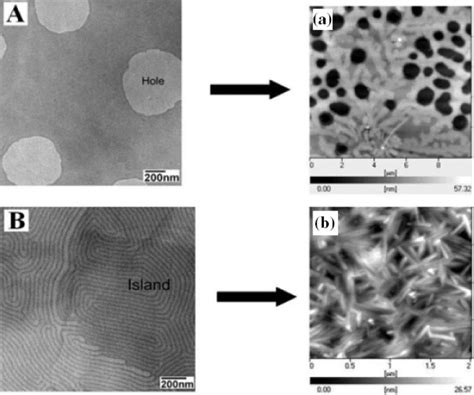 Crystal Behavior Of Semicrystalline Polystyrene‐block‐polyl‐lactide