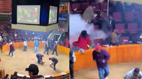 Granada Explota En Pelea De Gallos En Palenque De Hidalgo