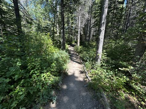 Hiking The Cracker Lake Trail In Glacier National Park — Noahawaii