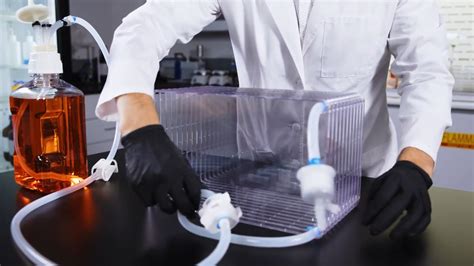 How To Fill And Empty Nunc Standard Closed Cell Factory System