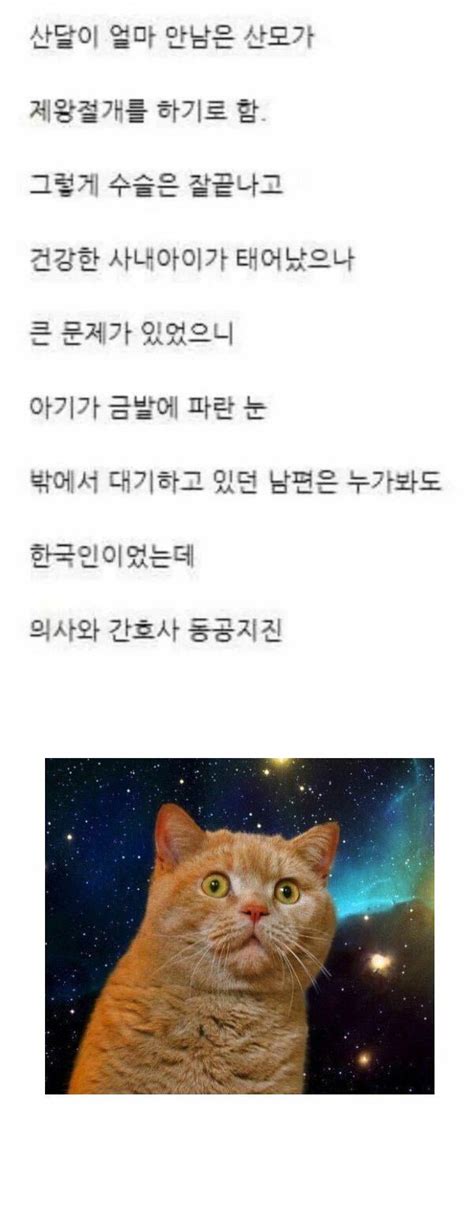 산부인과 의사의 위기 오픈이슈갤러리 인벤