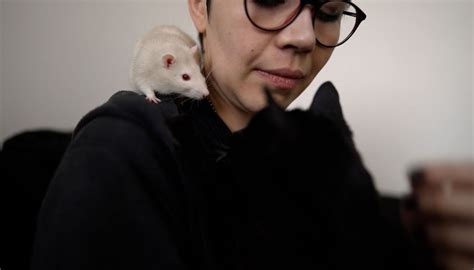 Salvó A 6 Mil Ratas En Buenos Aires Convive Con 20 Y Un Gatito Les