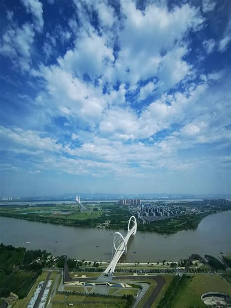 定了TOP100极美南京出炉 澎湃号政务 澎湃新闻 The Paper