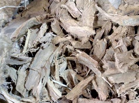 Kutaja Bark Wrightia At Best Price In Jabalpur Id 5210081 Gram