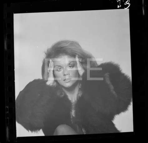 Ann Margret Fur Movie Actress By Harry Langdon Negative Wrights 406b £