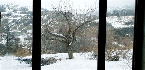 Ձմեռային ճամբար ձյունոտ Արատեսում — Ռիմա Քեքեջյան