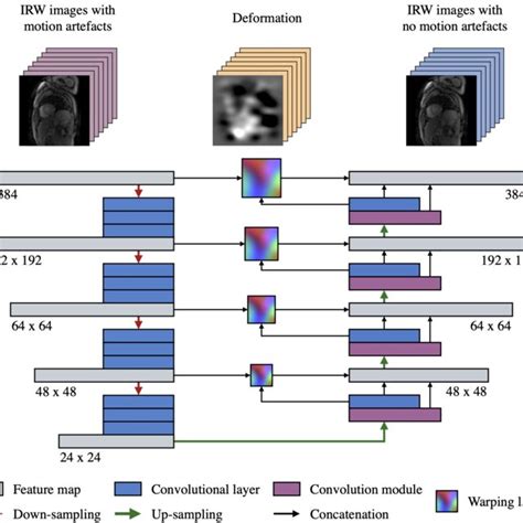 Structure Of The Proposed Motion Correction Convolutional Neural Download Scientific Diagram