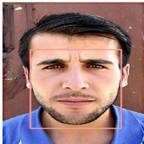 Visual Detection Reformed Object Detection Dataset By Ce7454