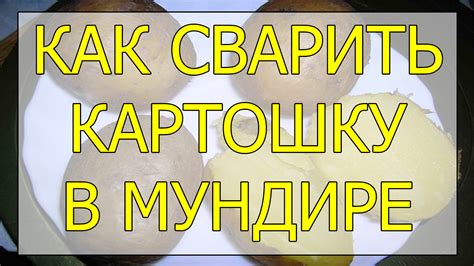 Как сварить картошку в мундире Сколько варить картошку в мундире смотреть видео онлайн от