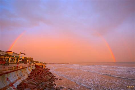 Galveston Island Guide Magazine For Things To Do Events Festivals