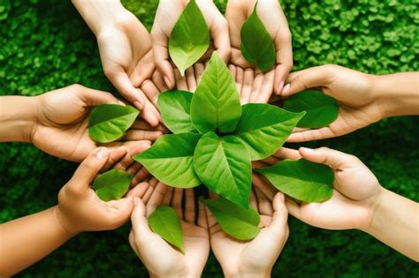 Premium Photo A Legacy Of Environmental Responsibility