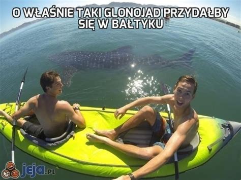Memy o wakacjach nad polskim Morzem 2022 Gazeta Wrocławska