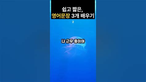 일상영어 필수 생활 영어 3문장 외국에서 바로 써먹는 영어 듣고 따라해보세요 I 영어공부 영어듣기 영어회화