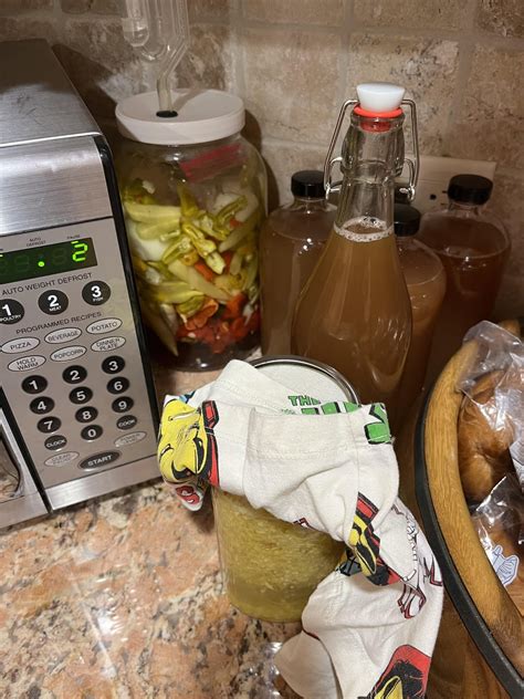 Fermentation Corner Hot Peppers Ginger Bug Root Beer R Fermentation