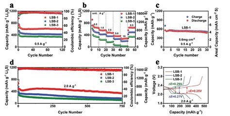 合肥大学浙工大固体物理所afm：ru 量子点修饰生物质碳助力高性能锂 硫电池 华算科技