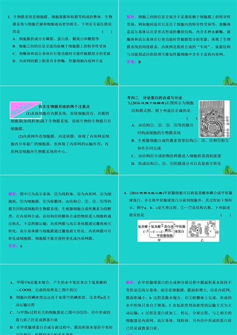 Ppt