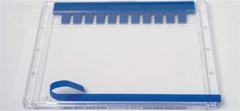 Gel De Electroforesis Sds Page Prefabricado 12 11 Pozos Para Sds Page