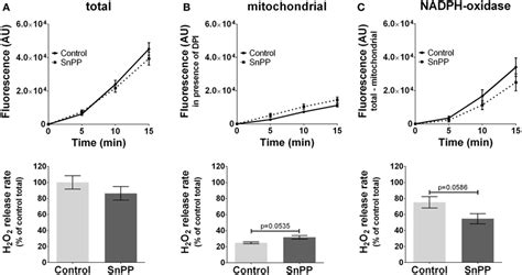 Modulation Of Reactive Oxygen Species Formation In J774a 1 Cells By