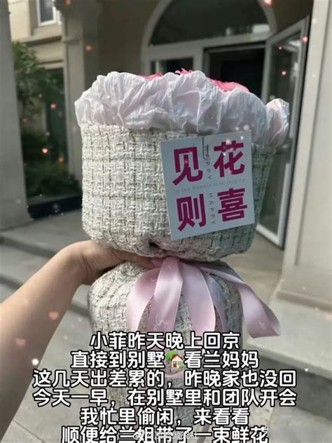 連張蘭也滿意！汪小菲新歡「真實身分」曝光了 甜曬合照全不藏 娛樂星聞