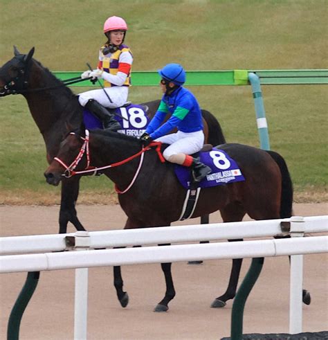 【ジャパンc】決意の逃走パンサラッサは12着 矢作師「進退はオーナーと相談して決めます」― スポニチ Sponichi Annex ギャンブル