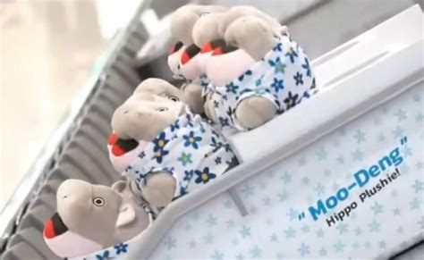 Moo Deng Toys Greet Tourists At Selected Thai Airports For Songkran Festivities