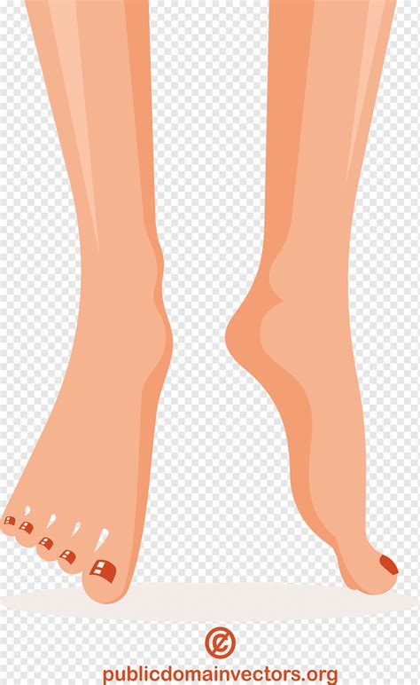 Female Feet Png Pngwing