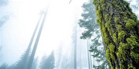 Memory Management In Python Learn Data Science With Travis Your Ai Powered Tutor