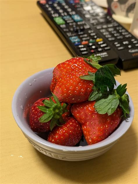 半歩進歩 お局様の奥座敷