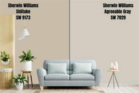 Sherwin Williams Shiitake Palette Coordinating And Inspirations