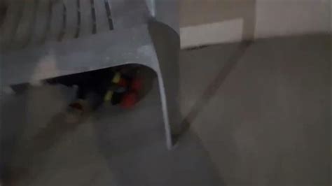 Raninbow Friends Youtube