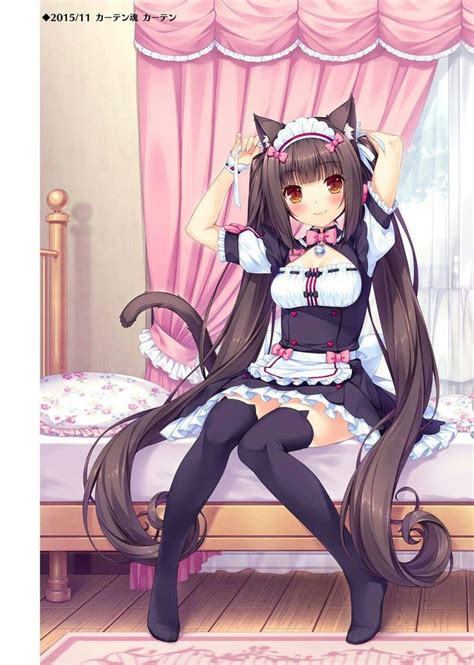 Nekopara Book Art Anime Art