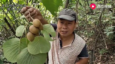 农村小伙自媒体四个月收获2000粉丝，答谢铁粉做法有点与众不同？ Youtube