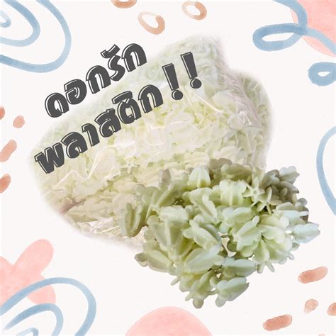 ดอกรัก ดอกรักพลาสติก สีขาว ครีม ไม่มีขั้ว พร้อมส่ง Shopee Thailand